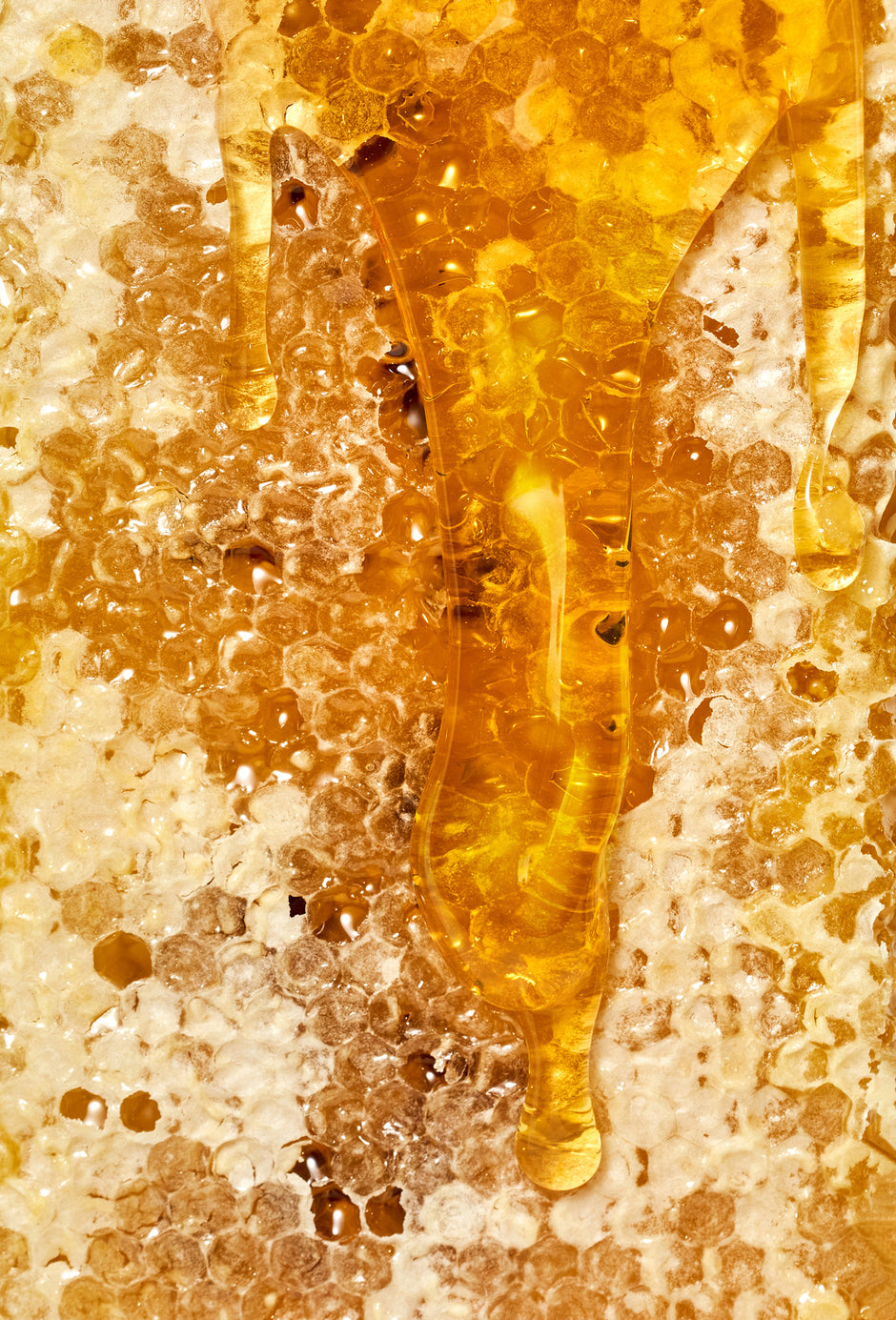 Ventos – Page 6 – Fraterworks