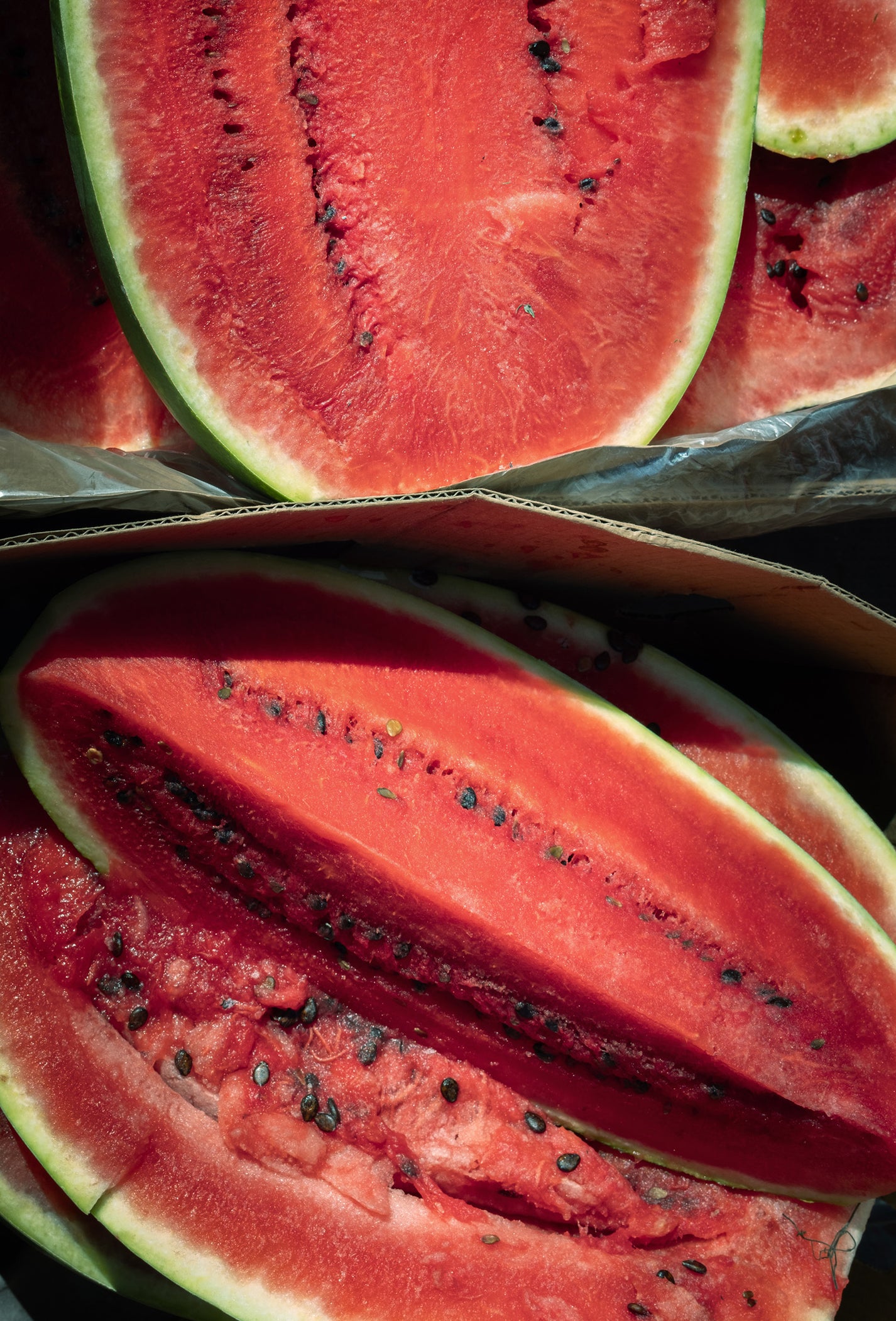 Melonal – Fraterworks