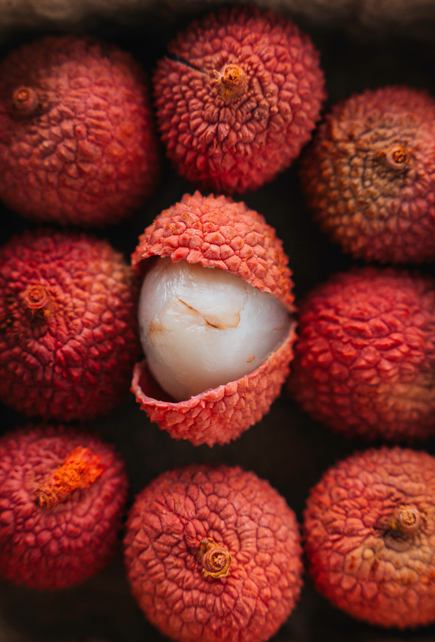 Dewfruit – Fraterworks