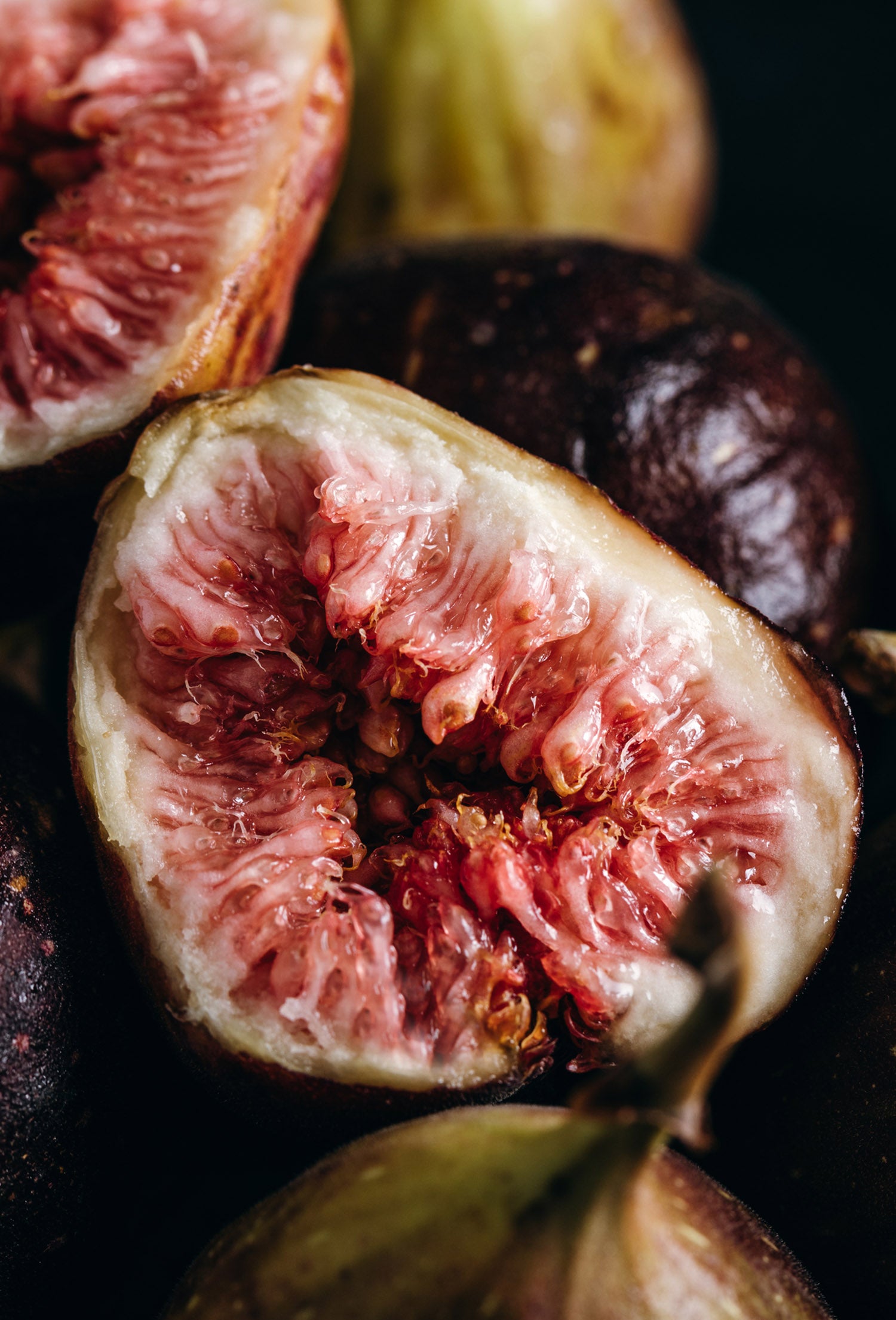 Fig Signature – Fraterworks