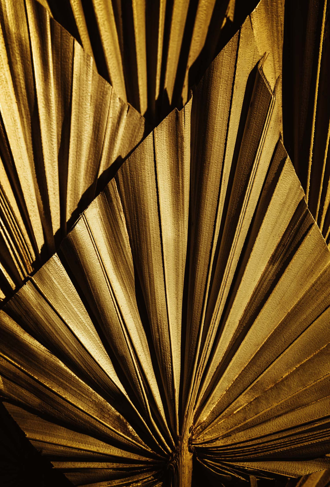 Demo Formulas – Fraterworks