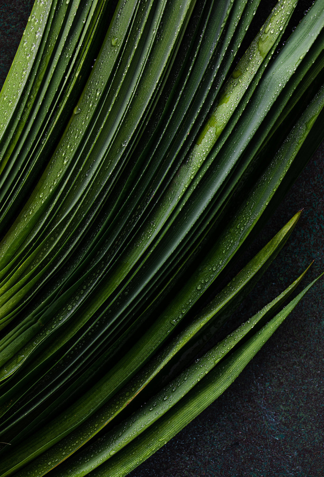 Aroma Chemicals – Fraterworks