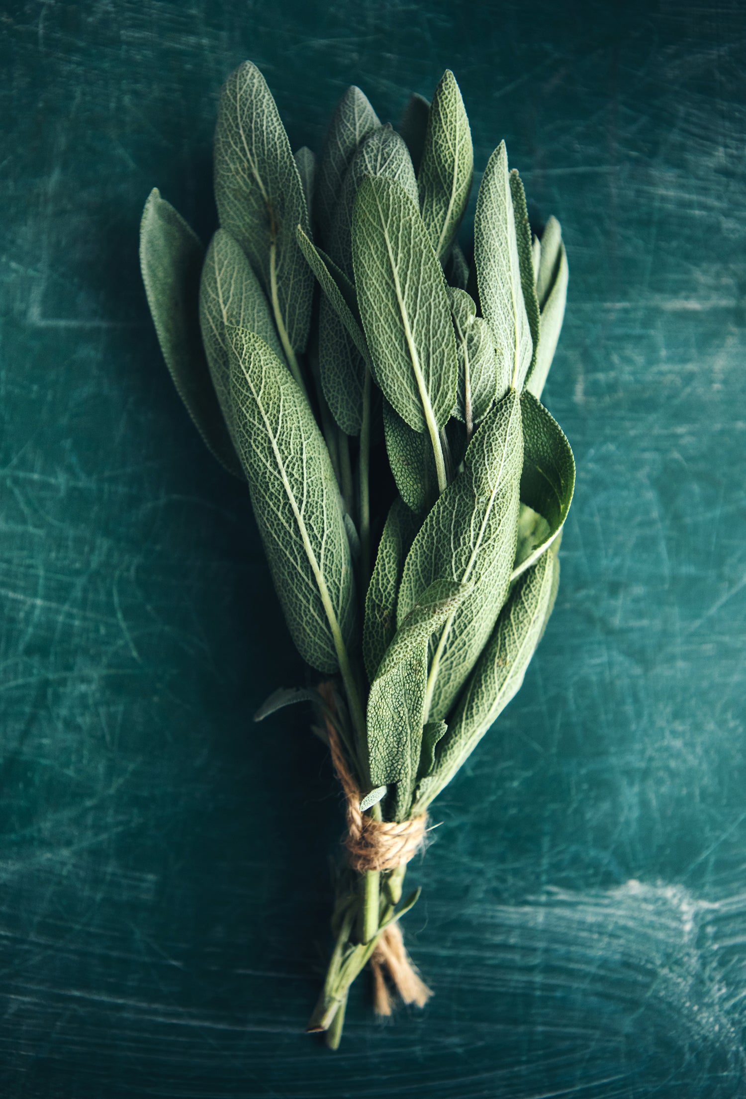 Fenchone Alpha – Fraterworks