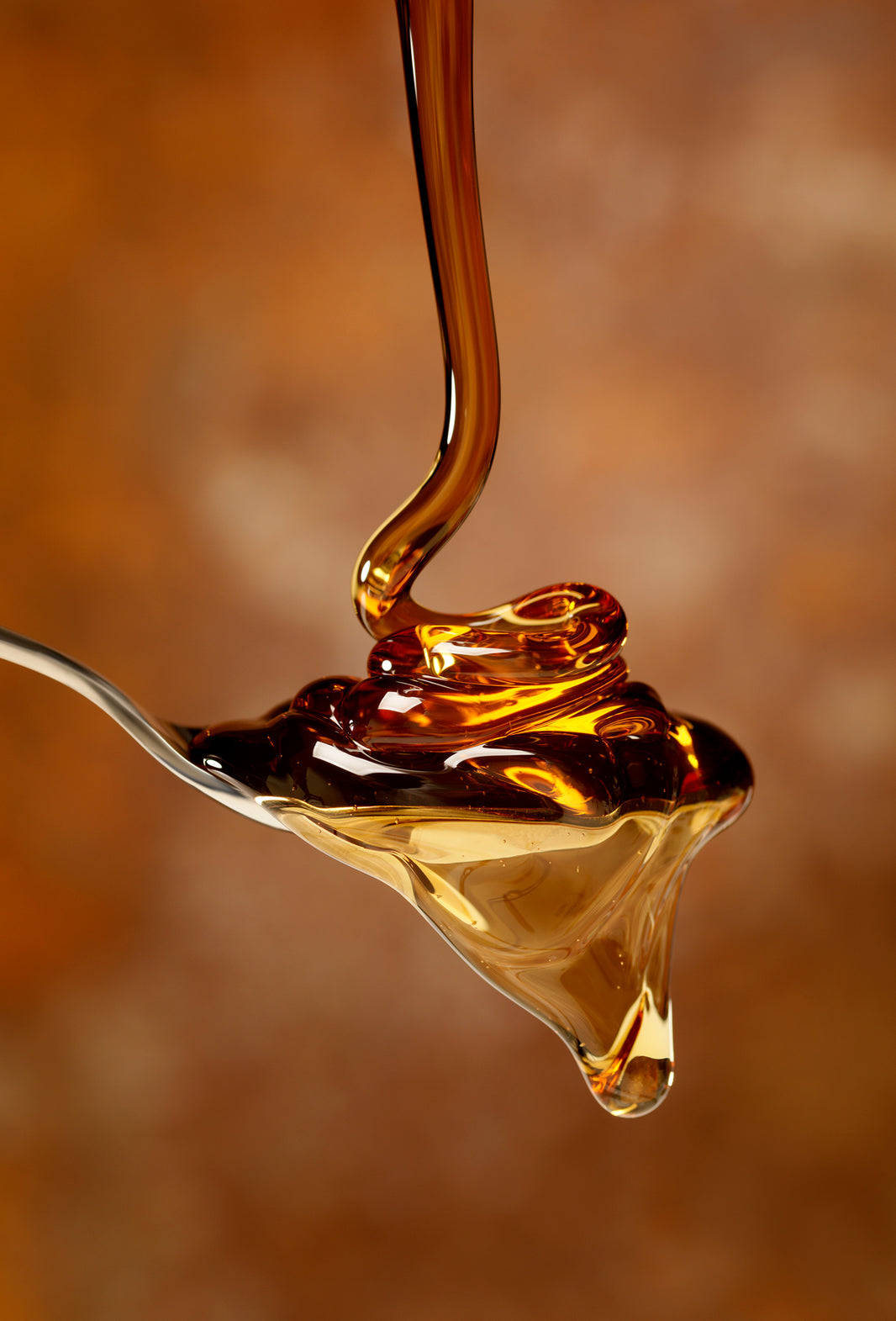 Bases – Fraterworks