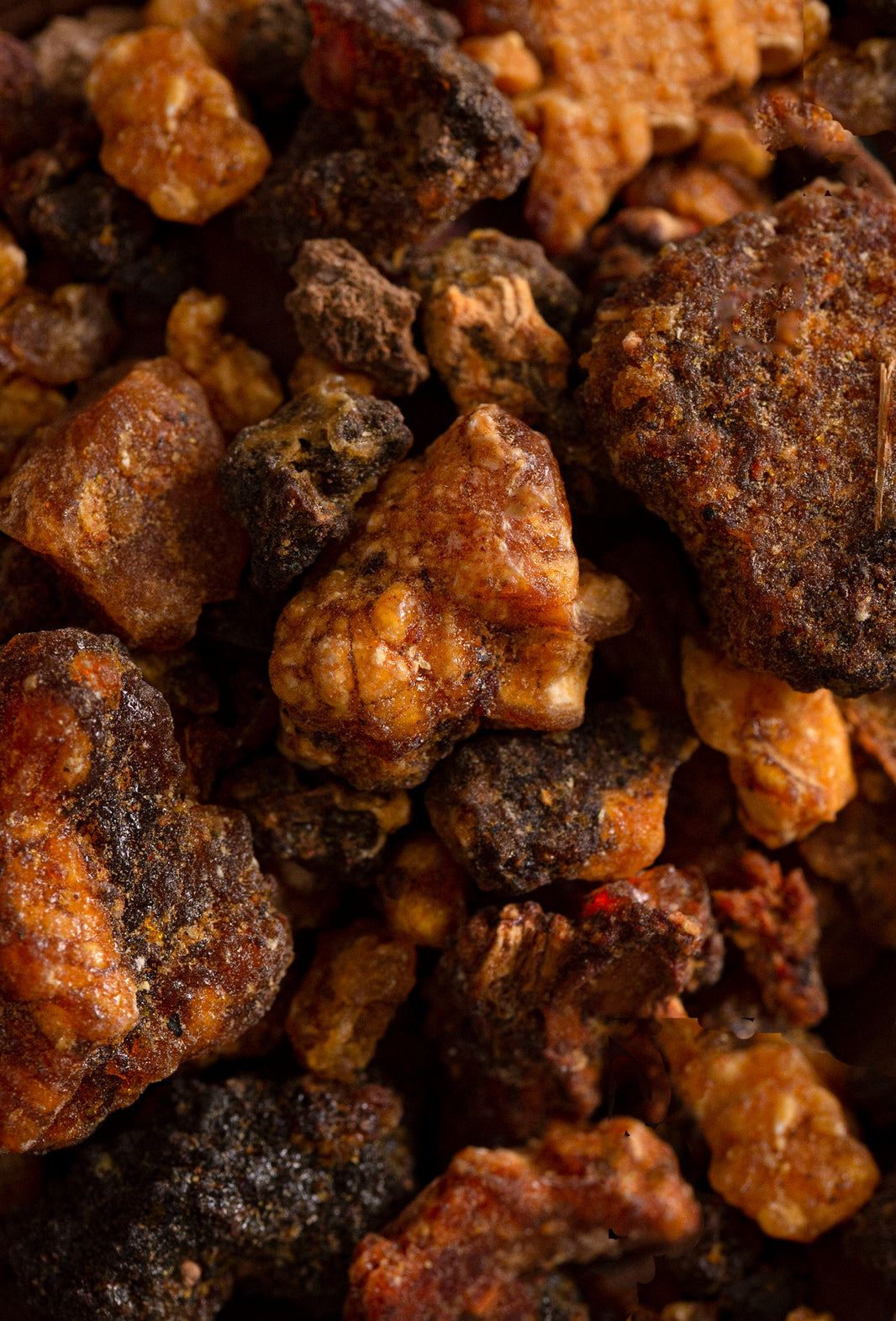 Absolutes & Resinoids – Fraterworks