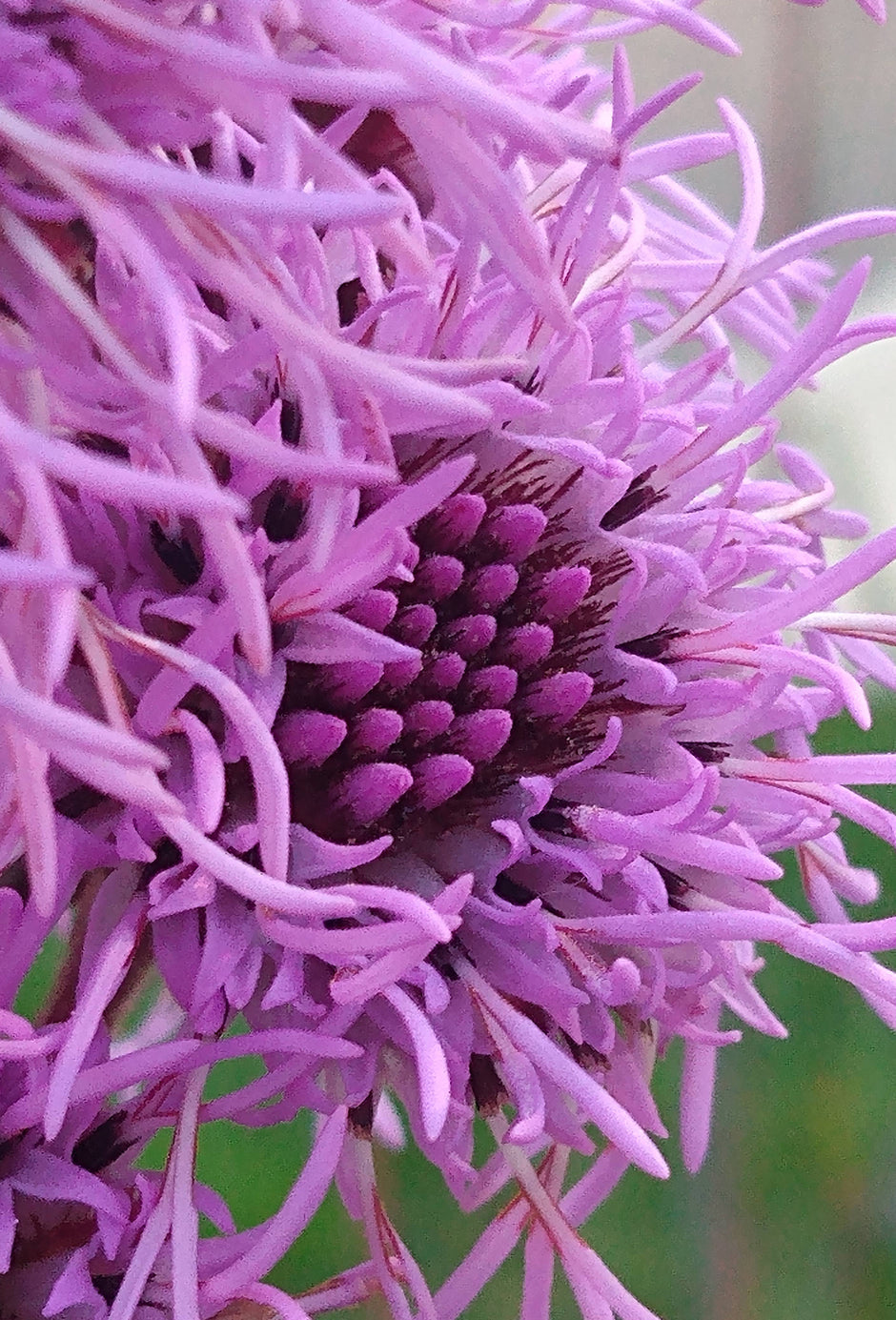 Bases – Fraterworks