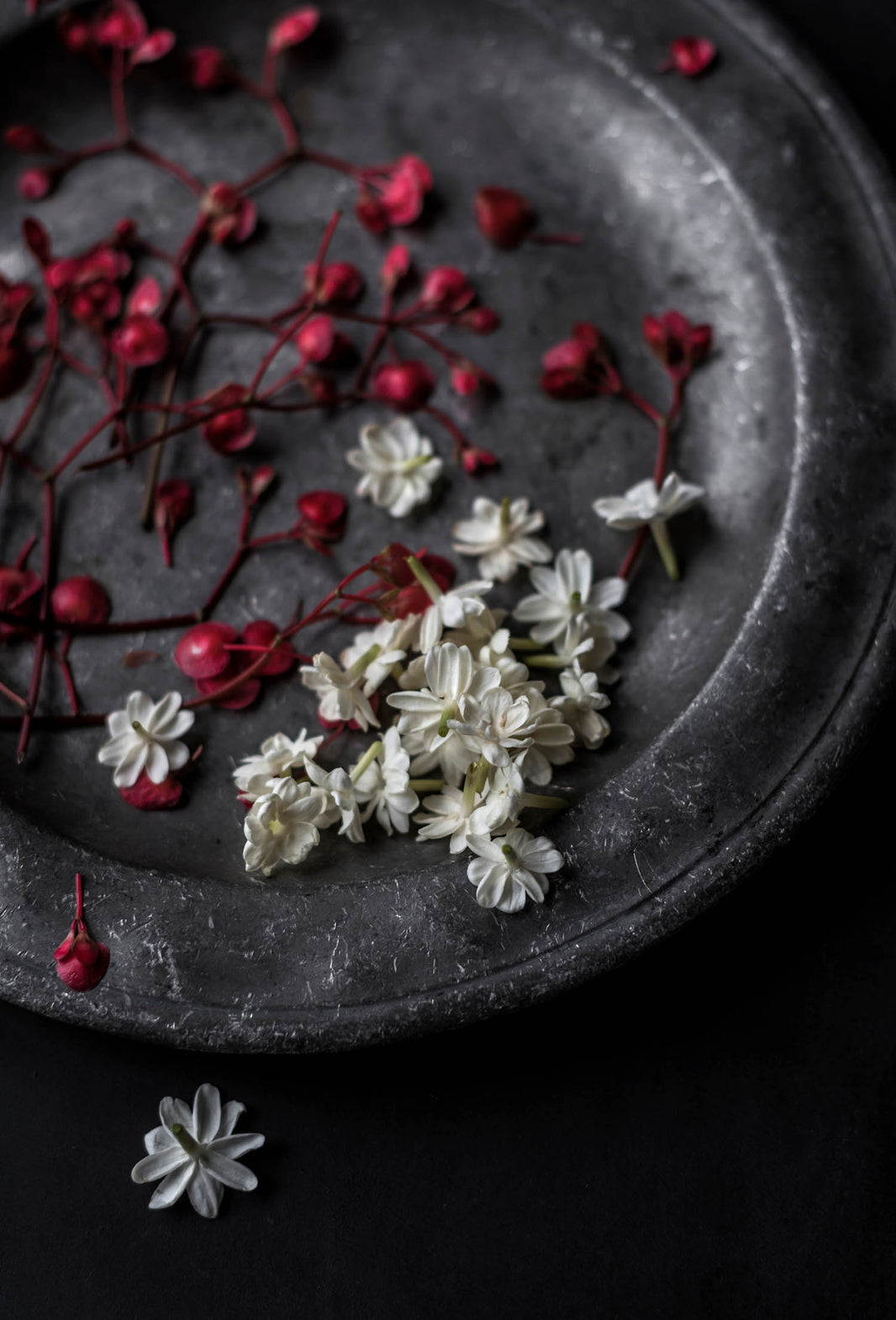 Jasmine Collection – Fraterworks