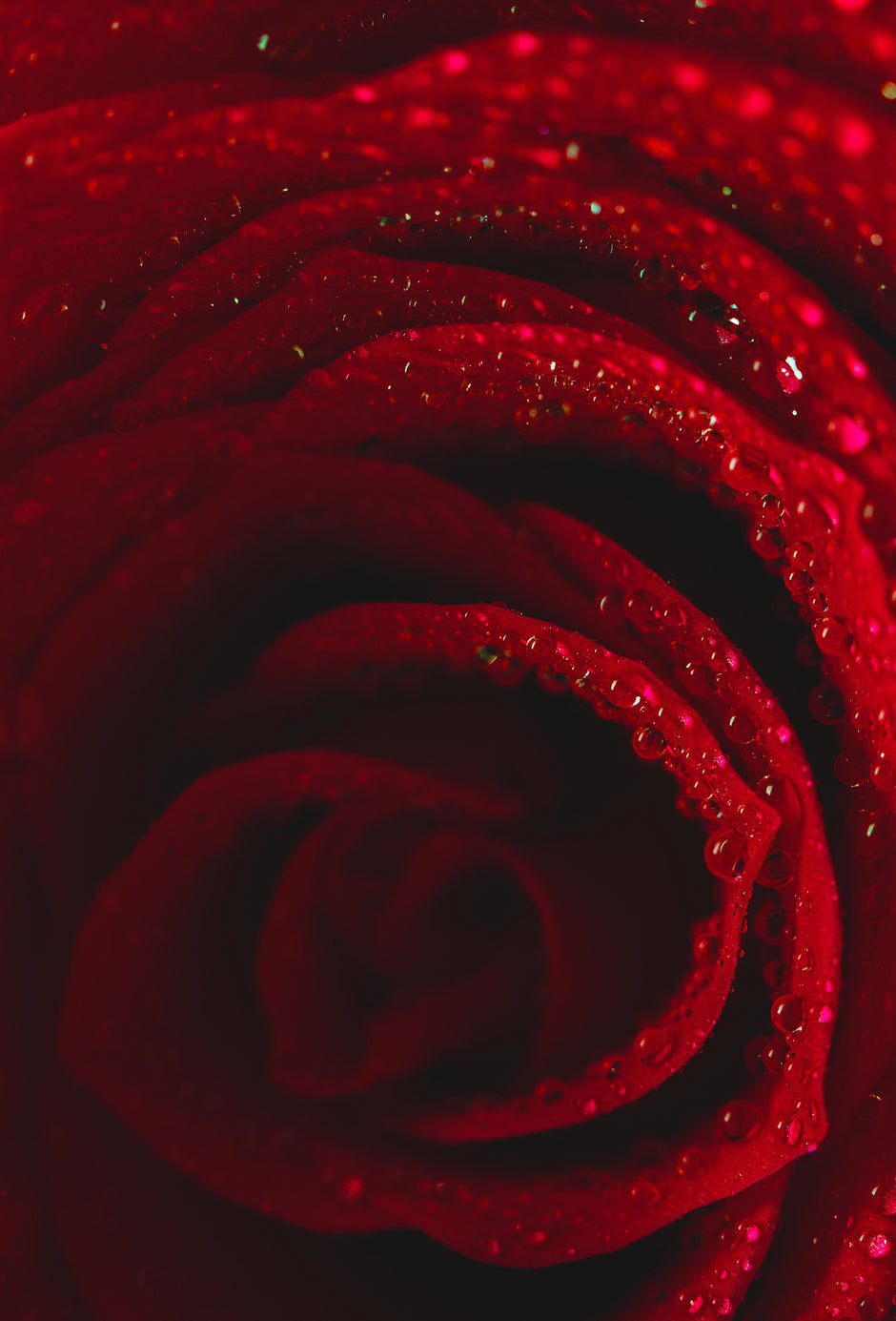 Bases – Fraterworks