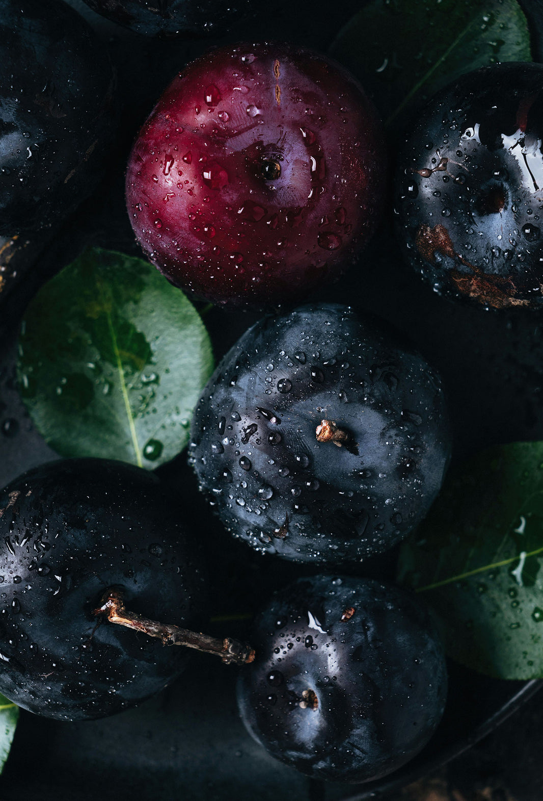 Power Players – Fraterworks