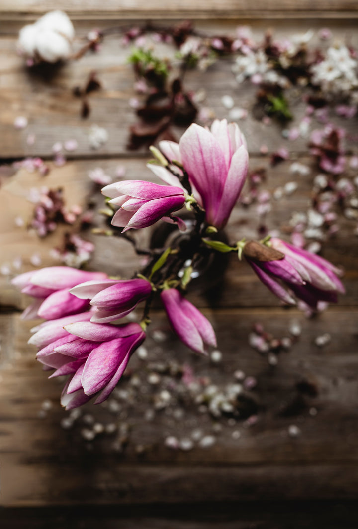 Latest Arrivals – Fraterworks