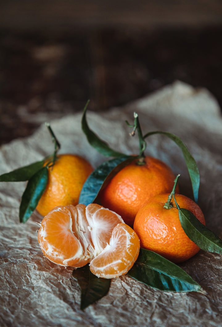 Bases – Fraterworks