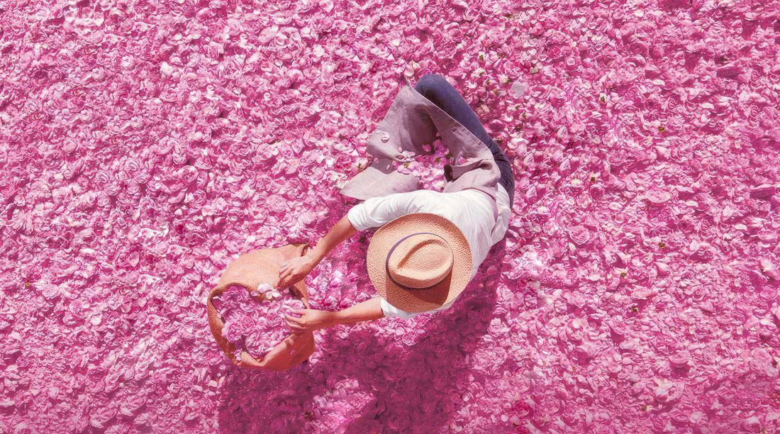 Fraterworks — Raw Materials For Perfumers