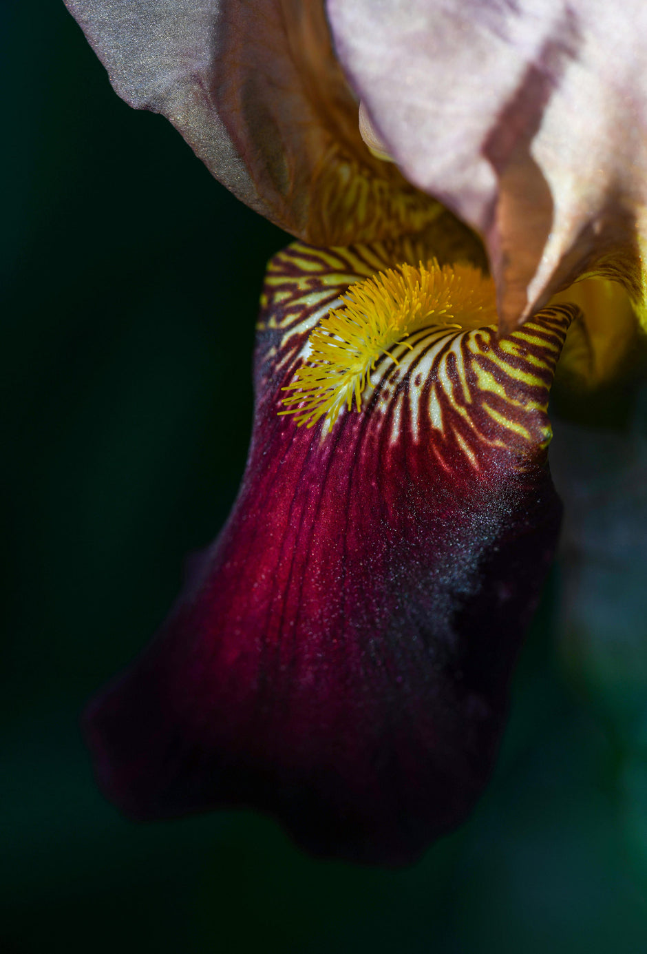 Private Label Collection – Fraterworks