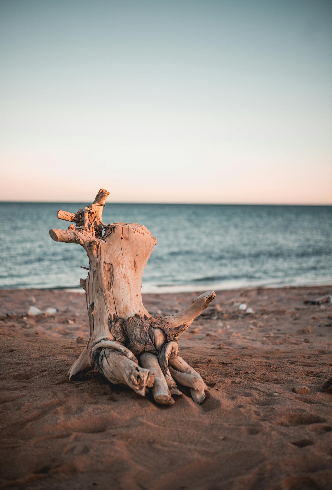 Bases – Fraterworks