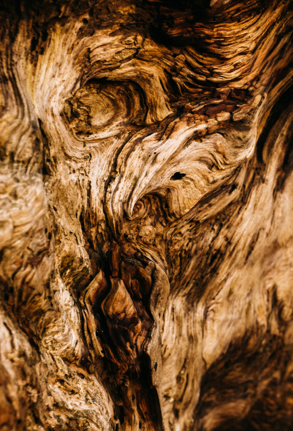 Fraterworks — Raw Materials For Perfumers