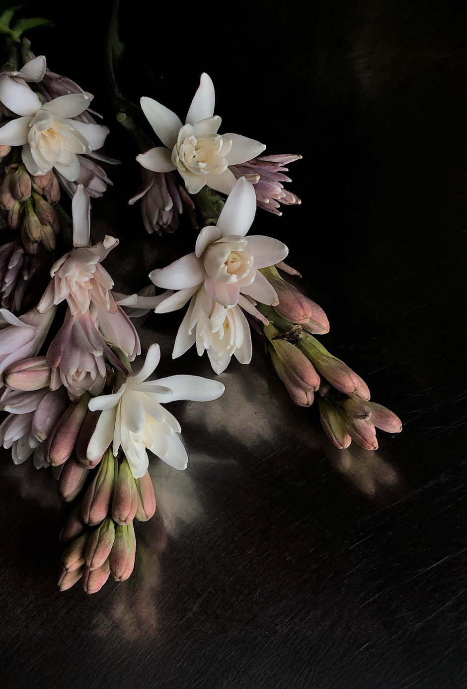 Fraterworks — Raw Materials For Perfumers