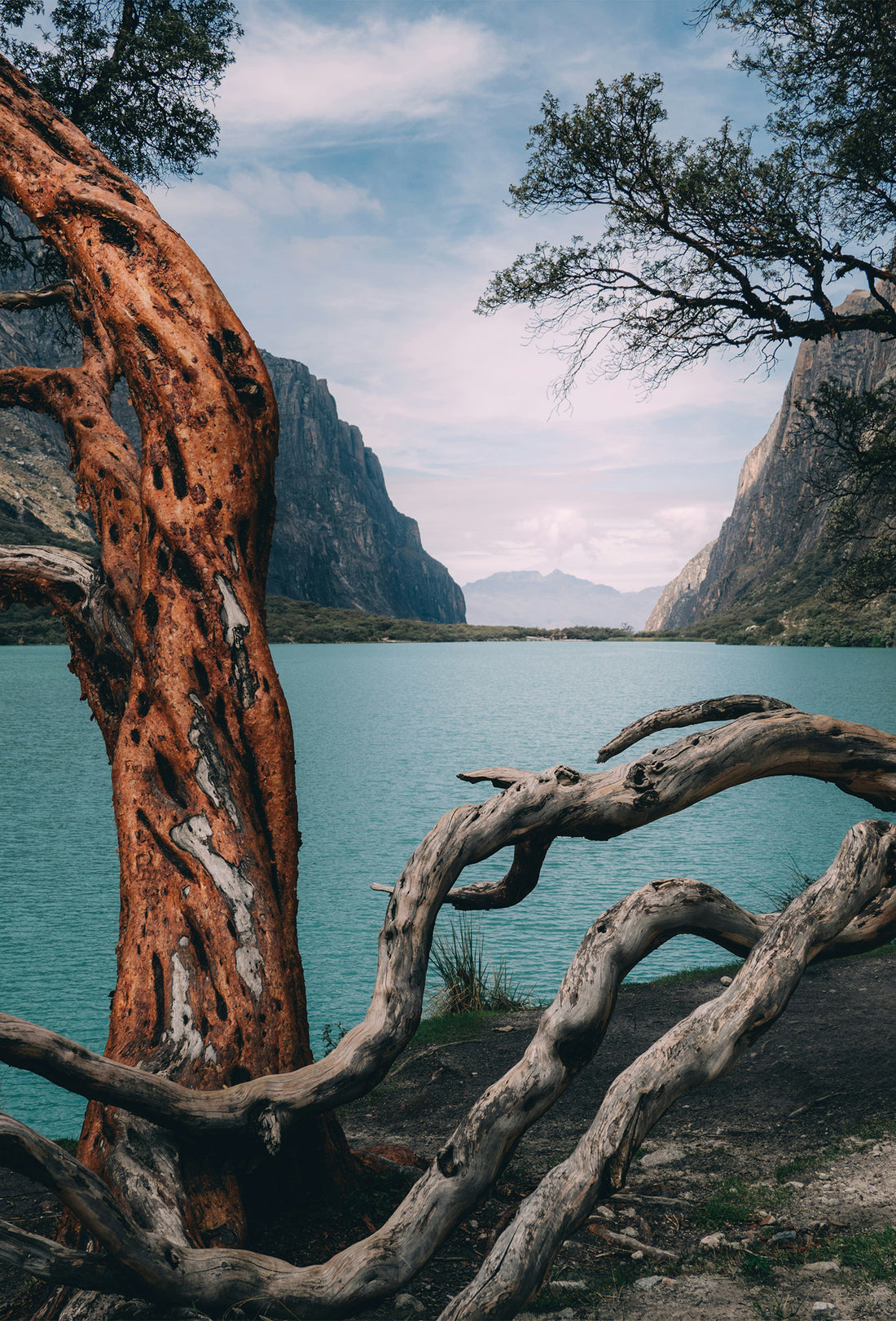 Vertofix® Coeur – Fraterworks