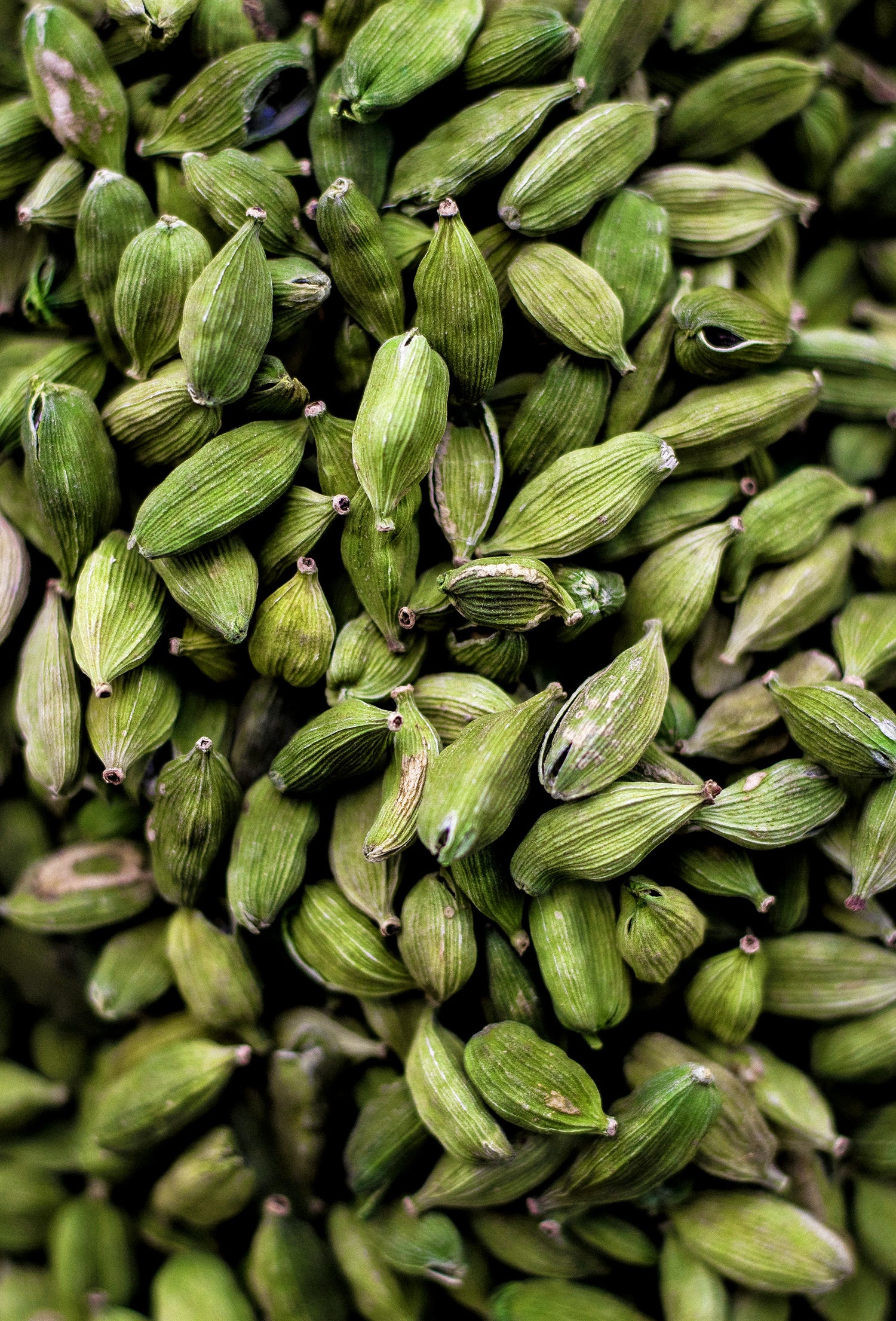 Cardamom “Signature” Oil – Fraterworks