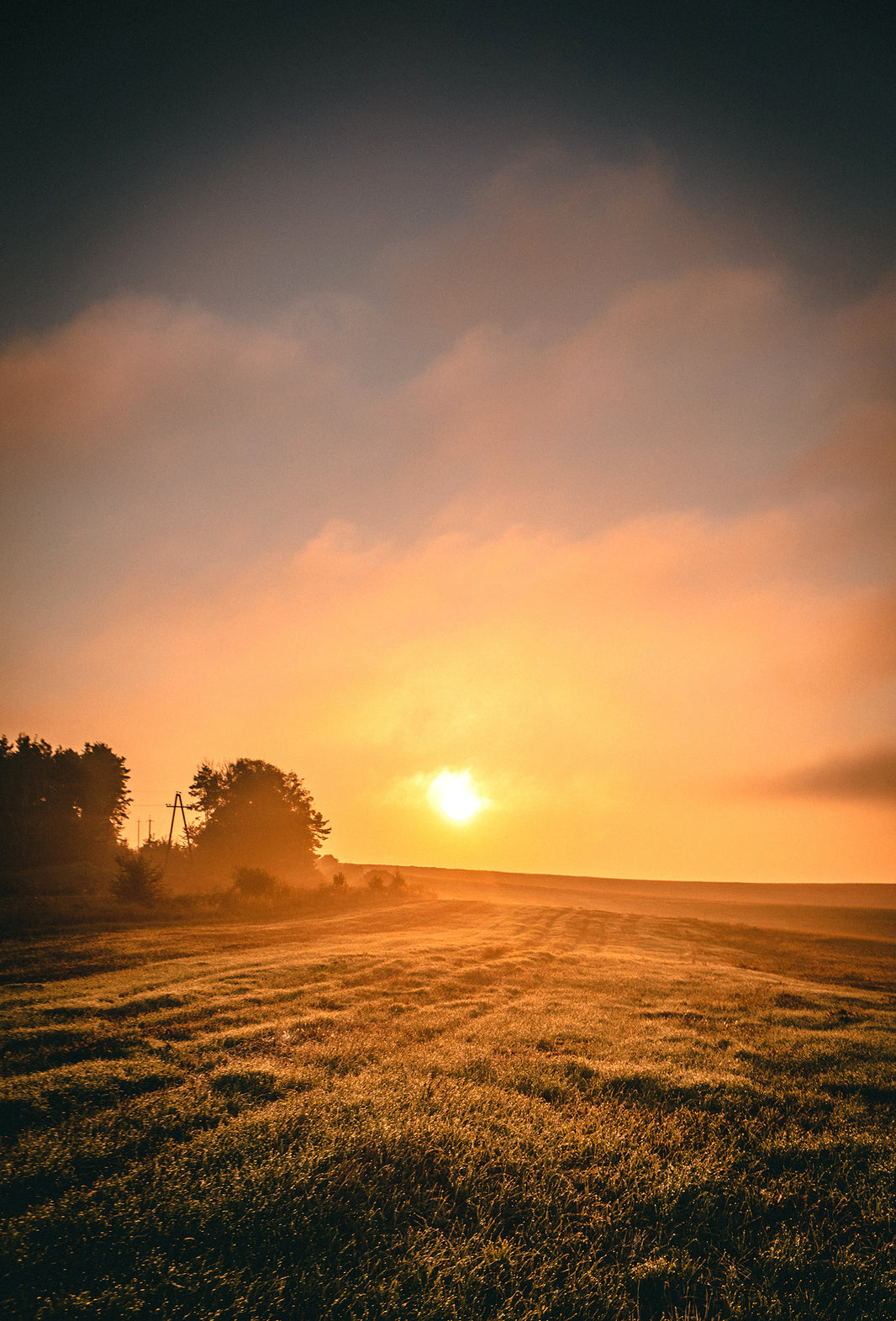 Amber Collection – Fraterworks